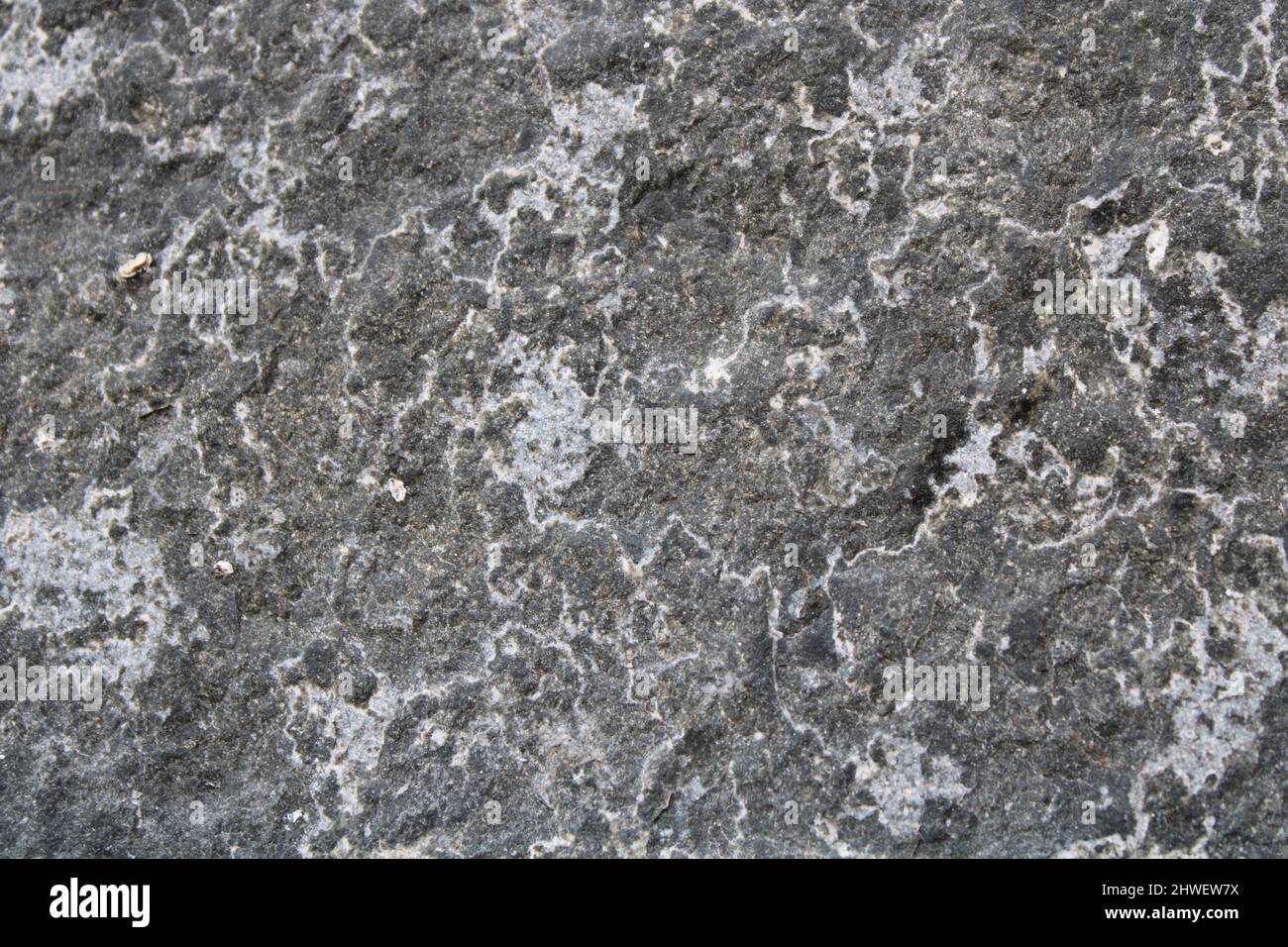 A Close Up On a Natural Gray Rock Texture Stock Photo - Alamy