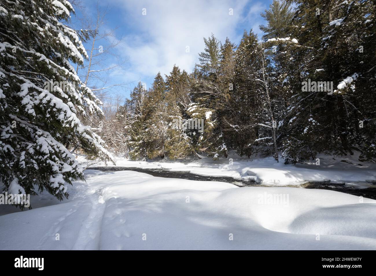Snow covered path through forest along the Oxtongue River in Raged ...