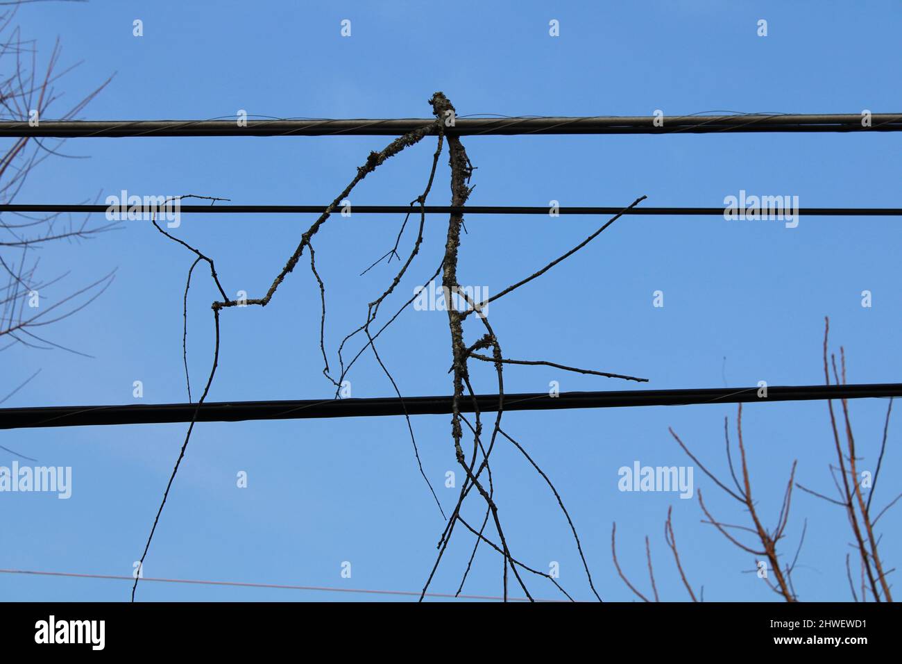 A Dead Branch Stuck in a Power Line Stock Photo - Alamy