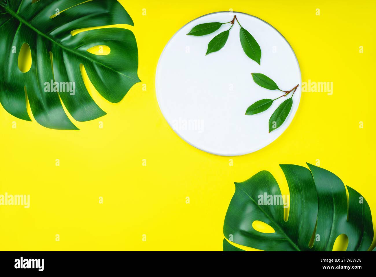 Empty text space for advertising, poster nature concept.Leaves on a ...