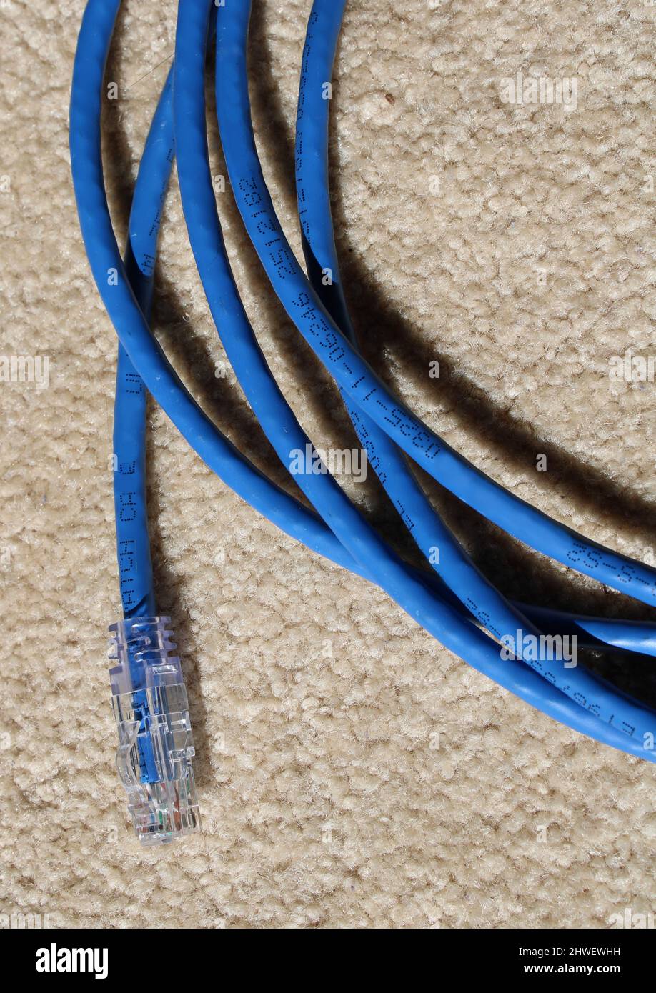 A Standard Ethernet Cable Stock Photo - Alamy