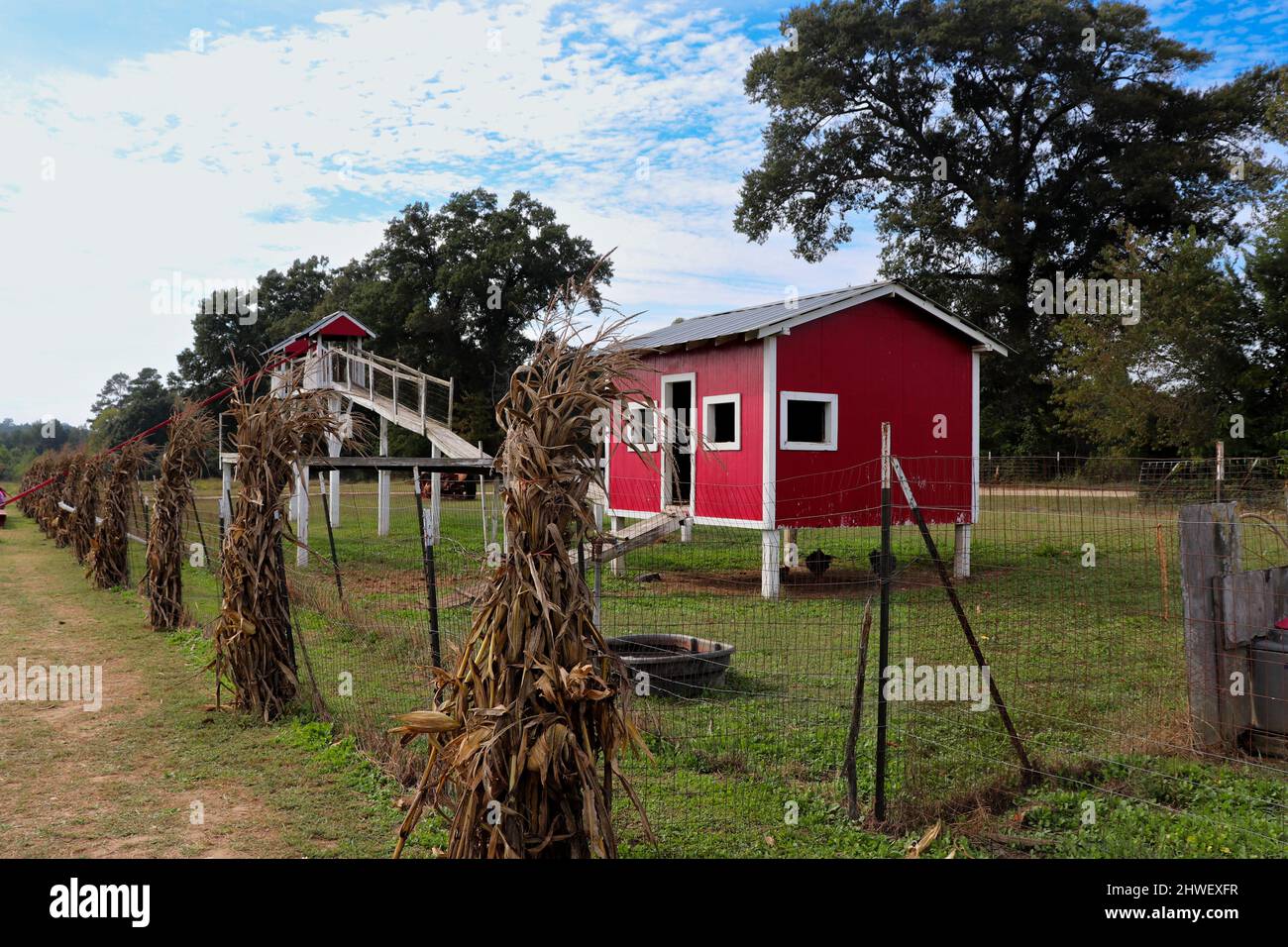 This large farm offers seasonal delights, free-roaming animals to pet ...