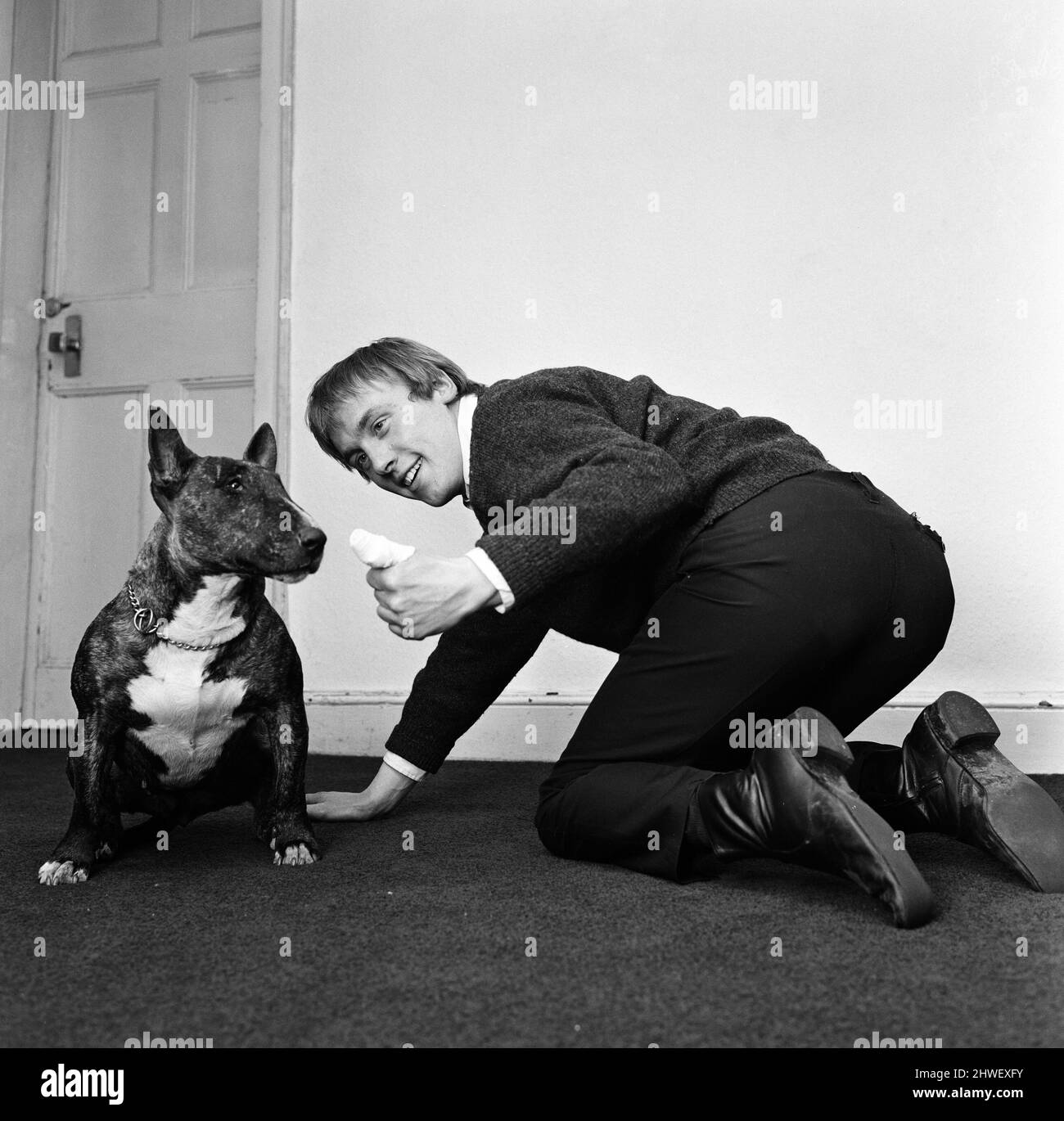 The dog that did the damage, Shady, makes it up with actor Christopher ...