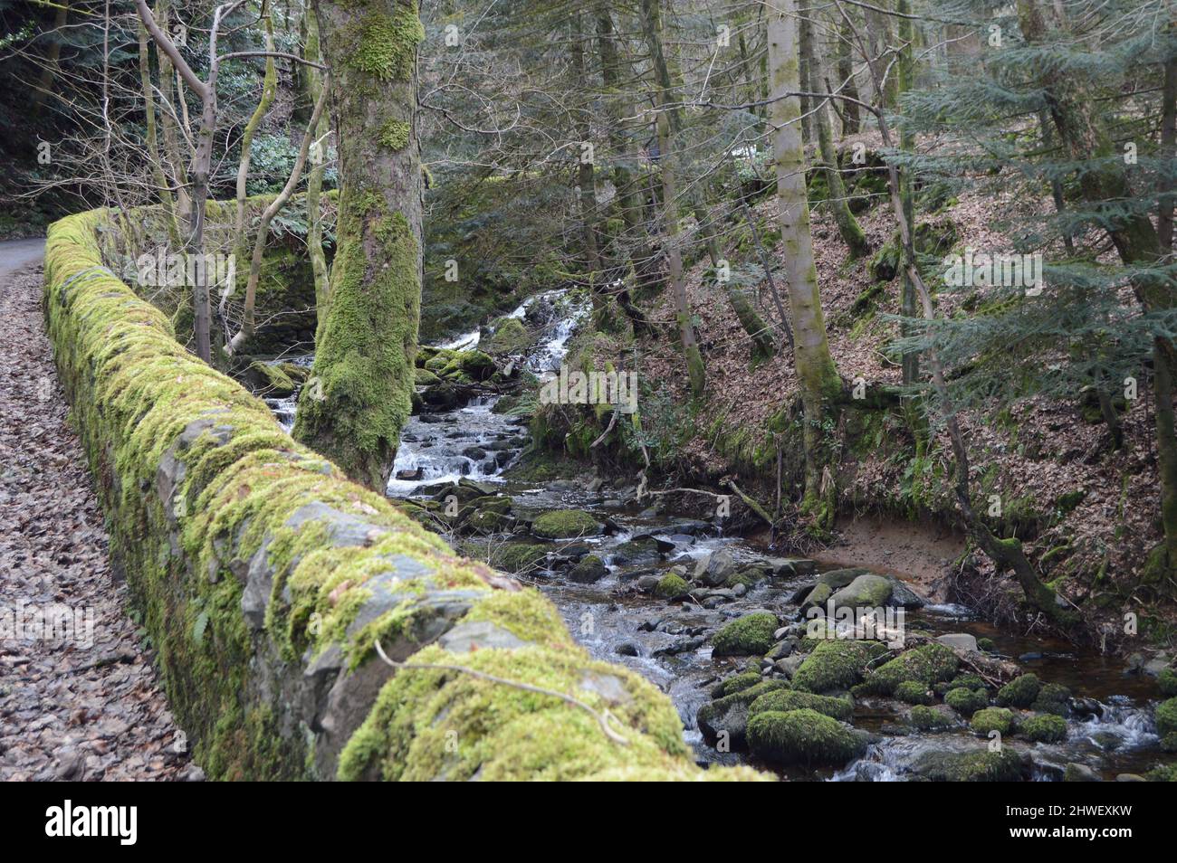 Birnam hi-res stock photography and images - Alamy