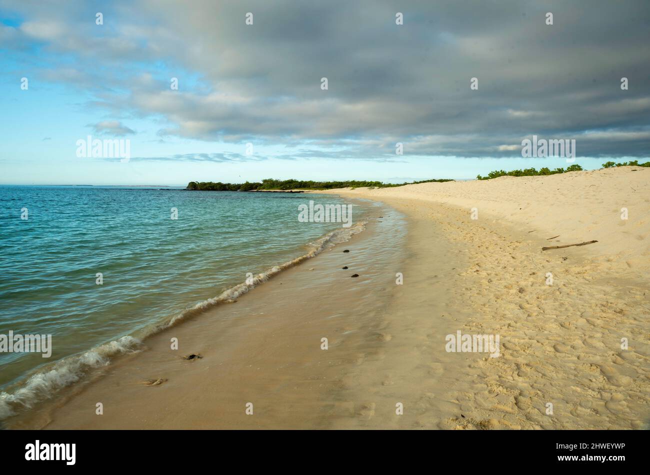 Photograph of Las Bachas, a beach on the north side of Santa Cruz Island, Gal‡pagos Islands ...