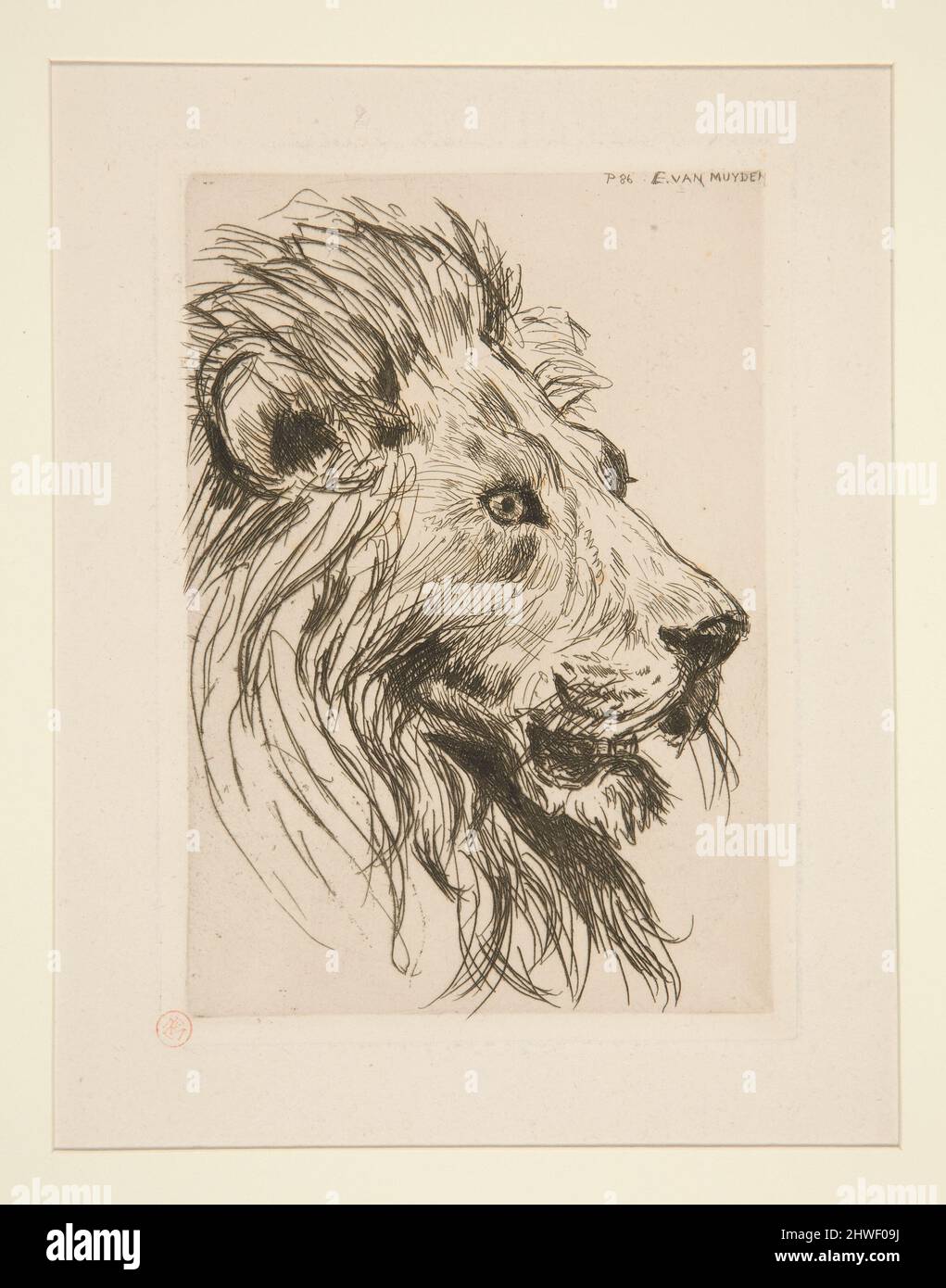 Evart louis van muyden hi-res stock photography and images - Alamy