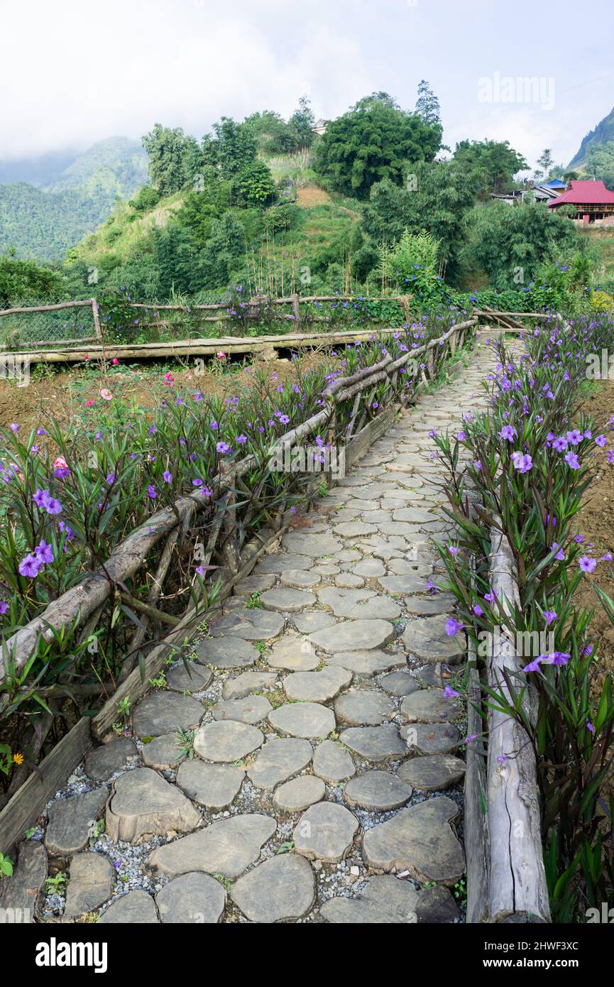 The path in the garden of wooden round logs. Wood texture. In the park ...