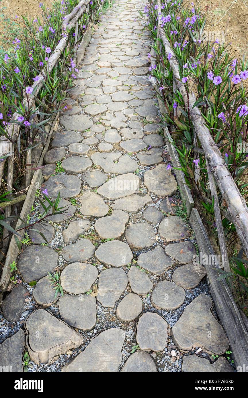The path in the garden of wooden round logs. Wood texture. In the park ...