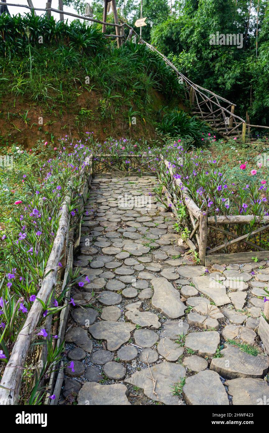 The path in the garden of wooden round logs. Wood texture. In the park ...