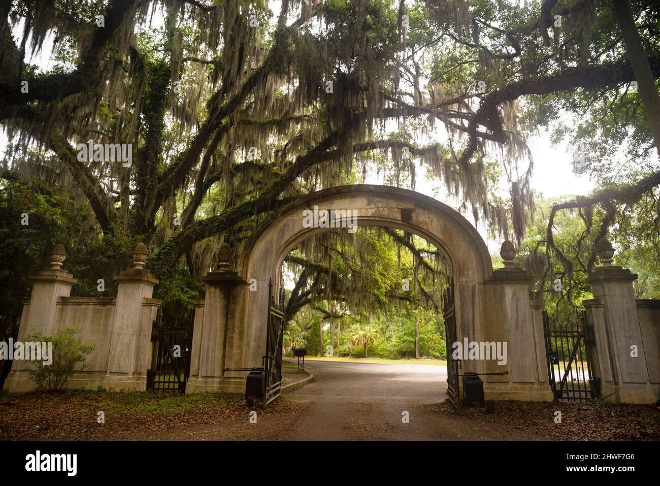 Arched antebellum Gothic Revival gate at Wormsloe Historic Site in ...