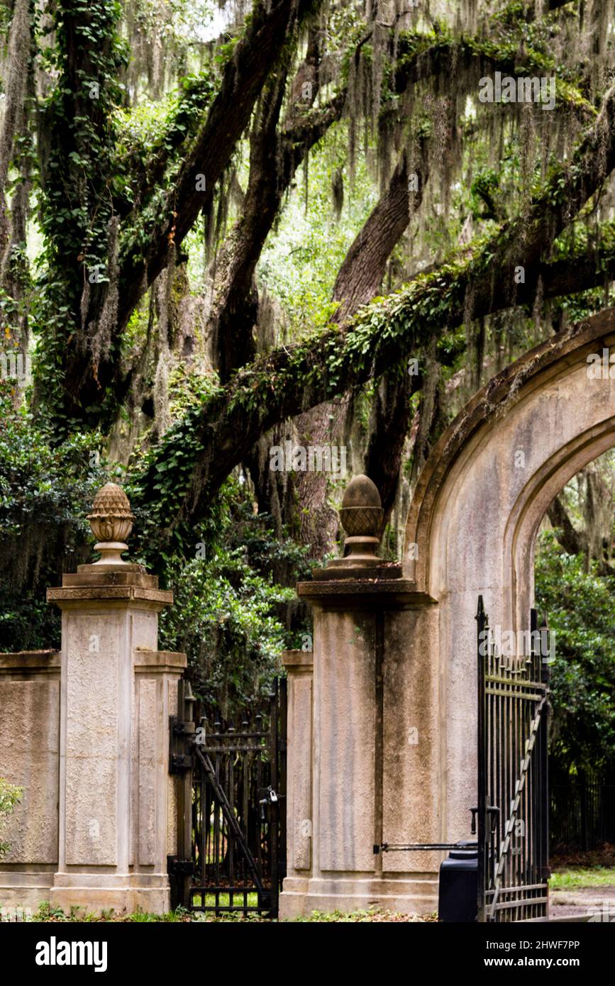 Details of the Gothic Revival style gate at Wormsloe Historic Site in ...
