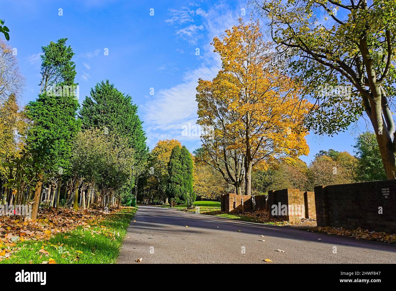 A road leading through the Boston Victorian Cemetery on a sunny autumn ...