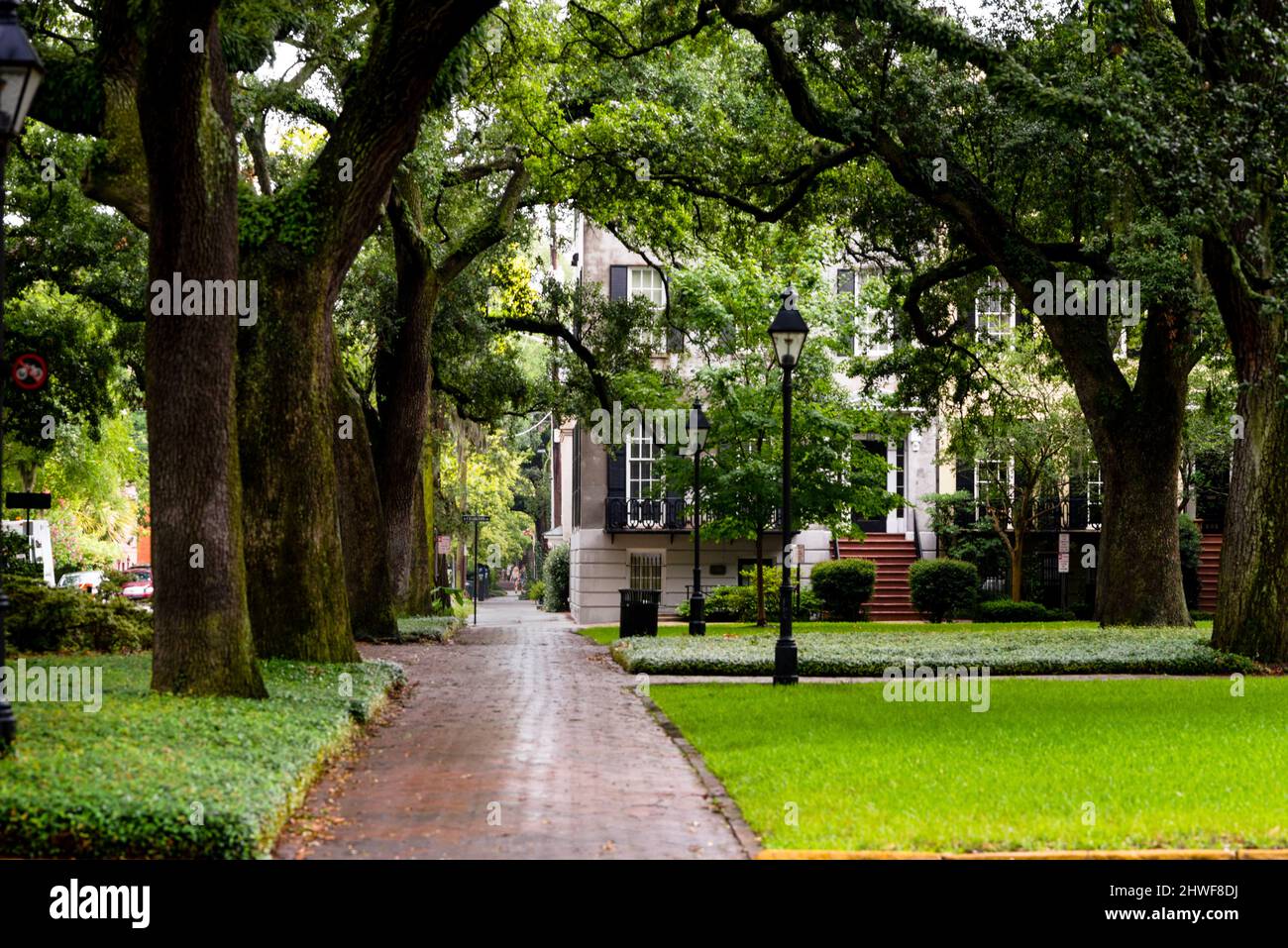 Savannahs squares hi-res stock photography and images - Alamy