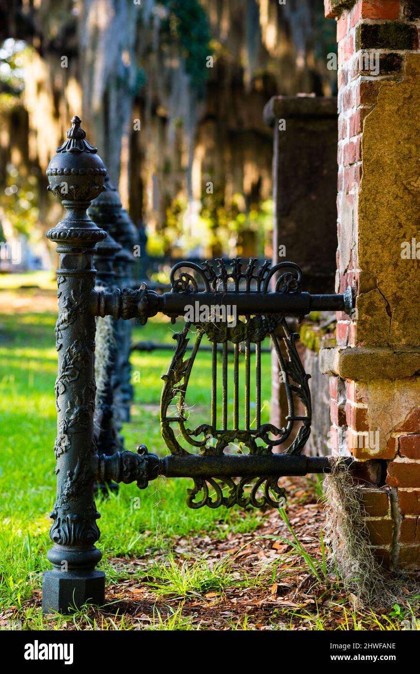 Native Laurel Oaks High Resolution Stock Photography and Images - Alamy