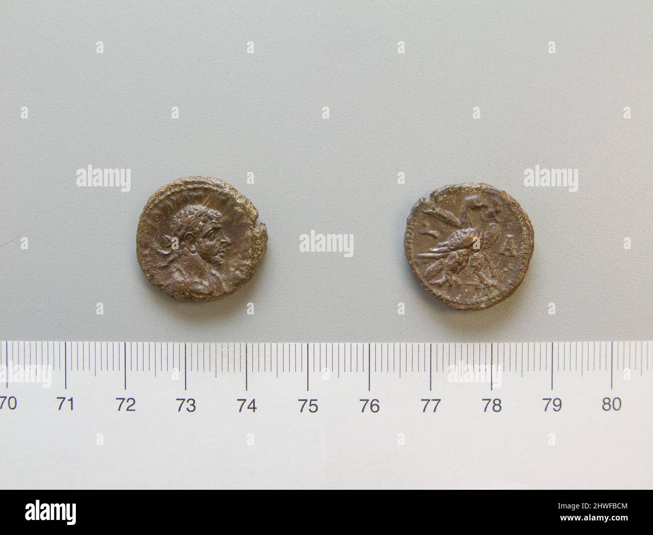 Tetradrachm of Quintillus from Alexandria. Ruler: Quintillus, Emperor ...