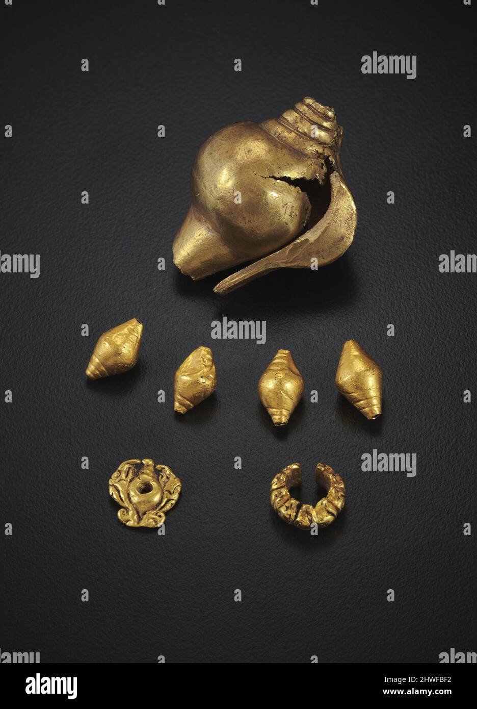 Conch shaped hi-res stock photography and images - Alamy