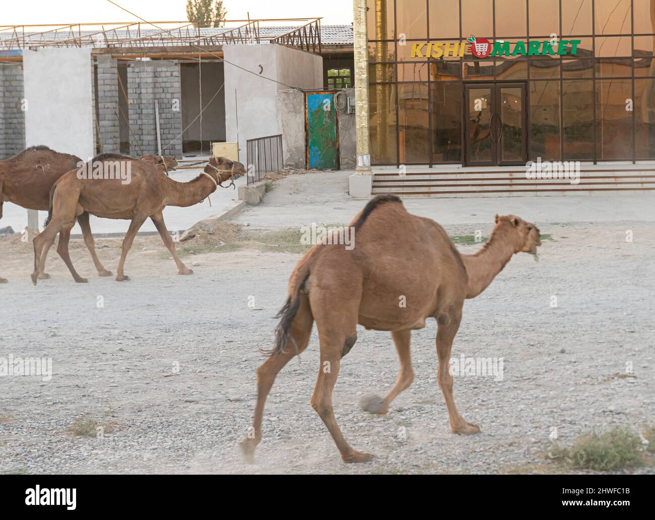 Kymyran hi-res stock photography and images - Alamy