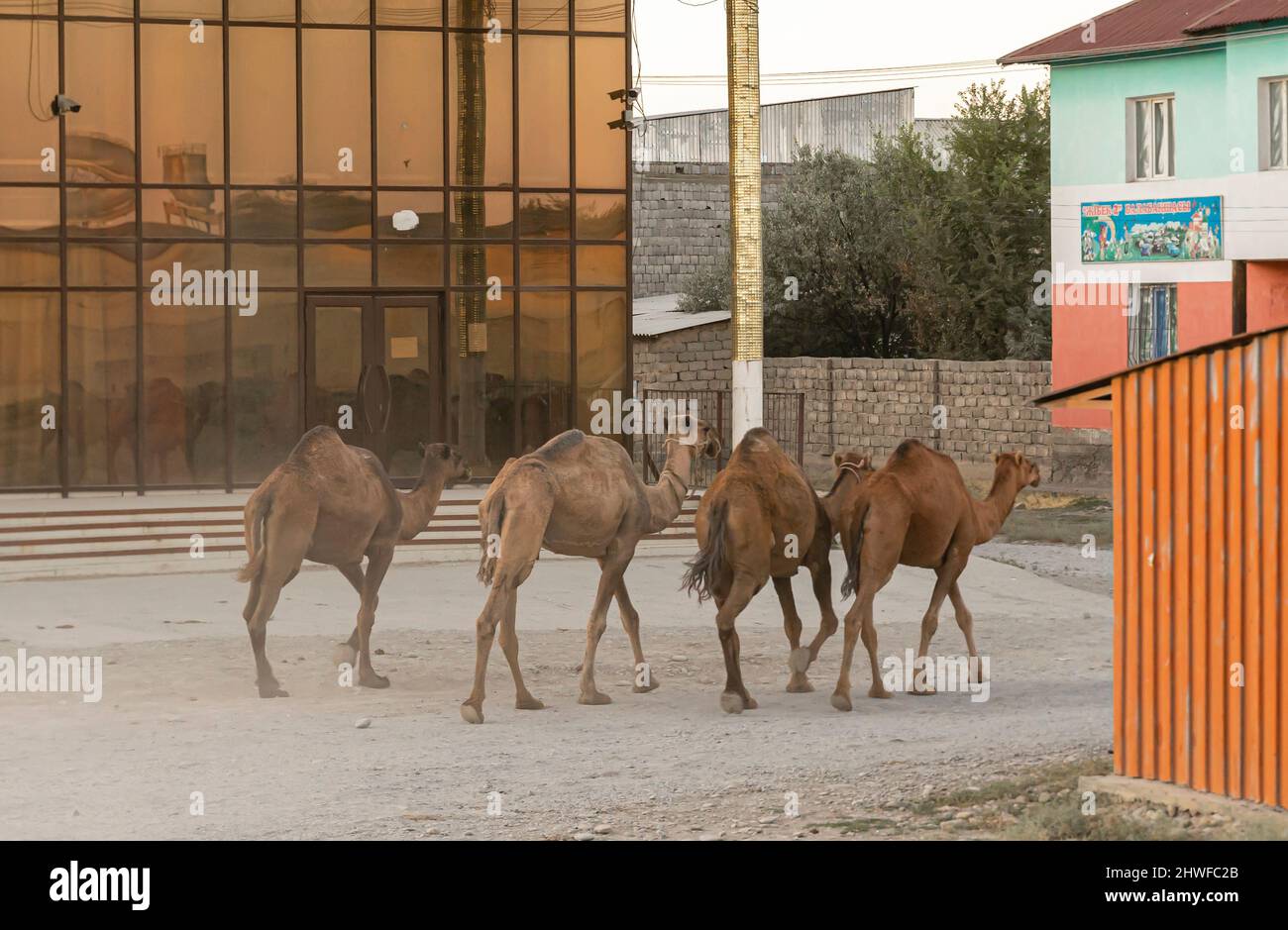 Kymyran hi-res stock photography and images - Alamy