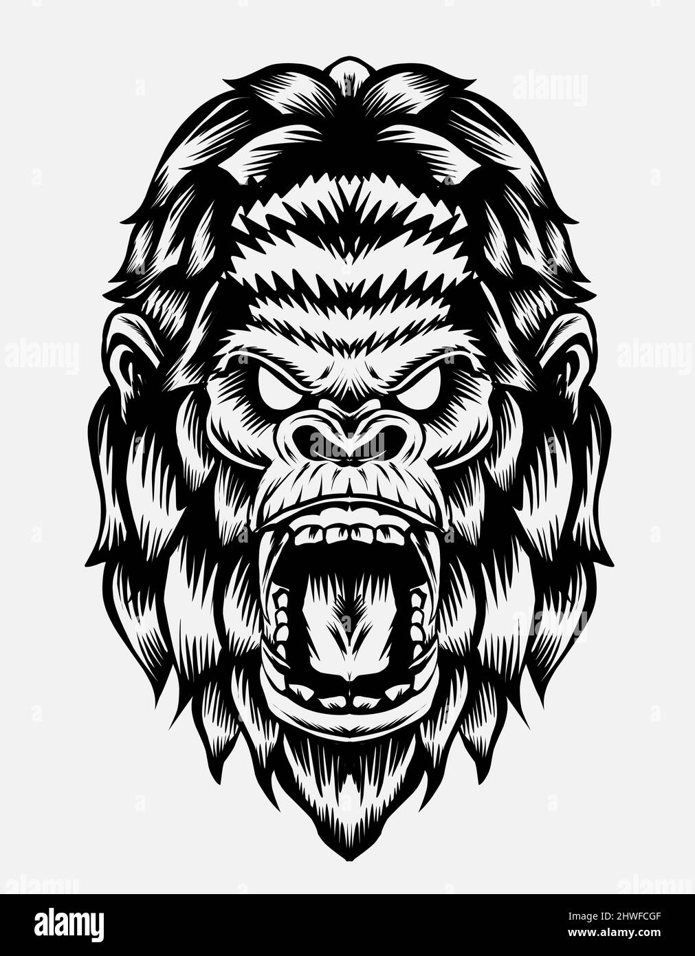 Gorilla Head Sketch