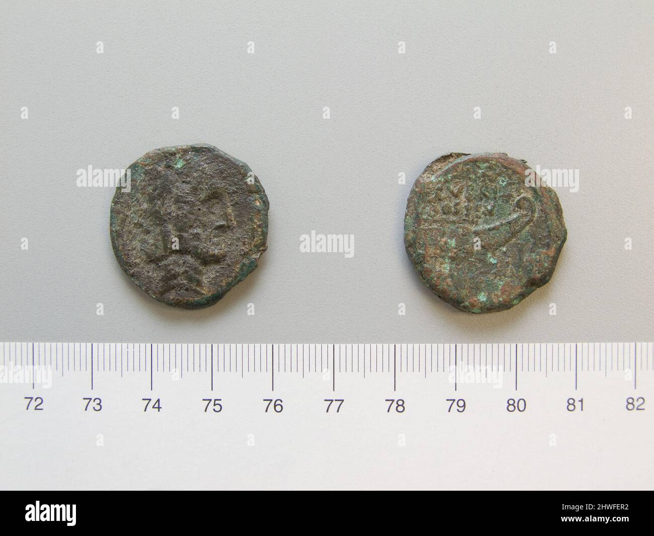 L rubrius dossenus hi-res stock photography and images - Alamy