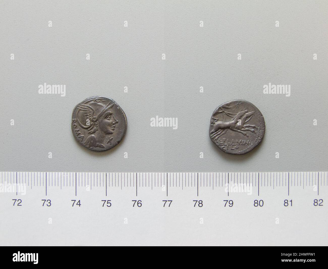 L flaminius chilo hi-res stock photography and images - Alamy