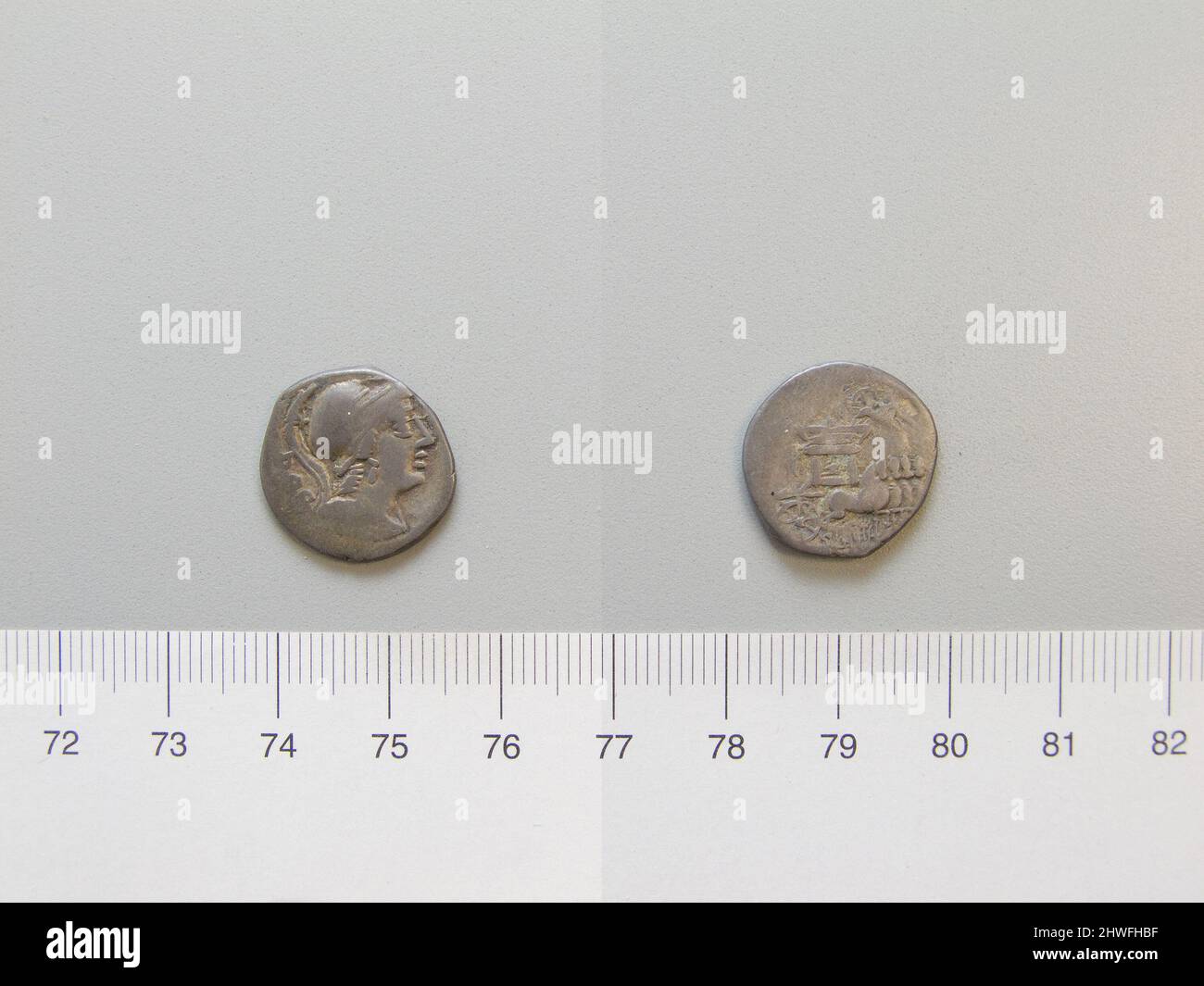 L rubrius dossenus hi-res stock photography and images - Alamy