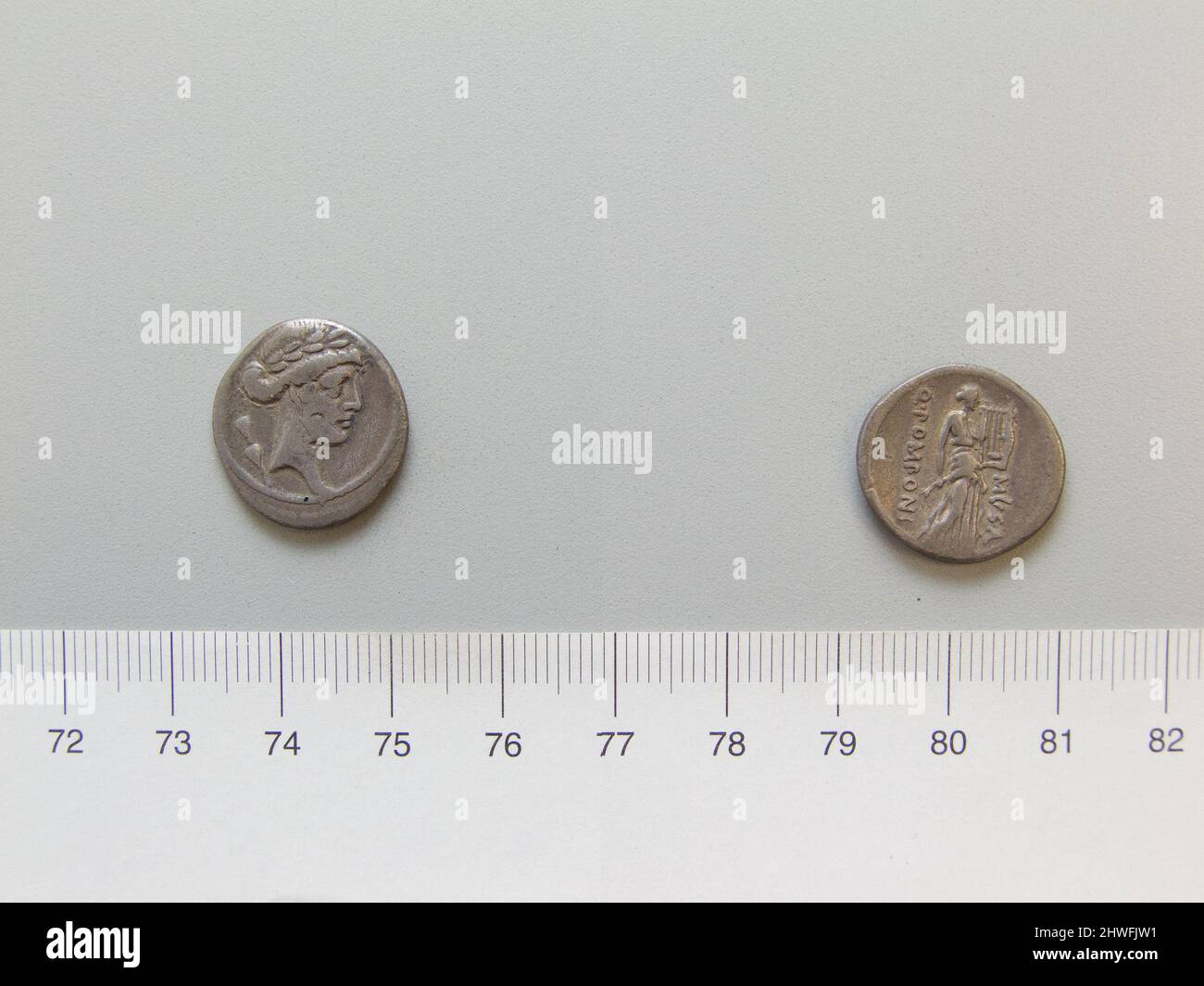 Pomponius hi-res stock photography and images - Alamy