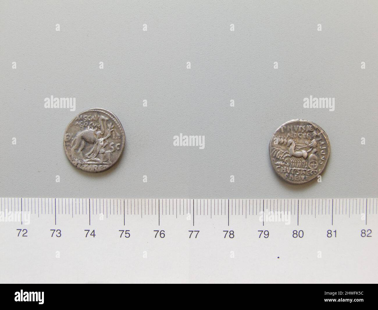 Scaurus hi-res stock photography and images - Alamy