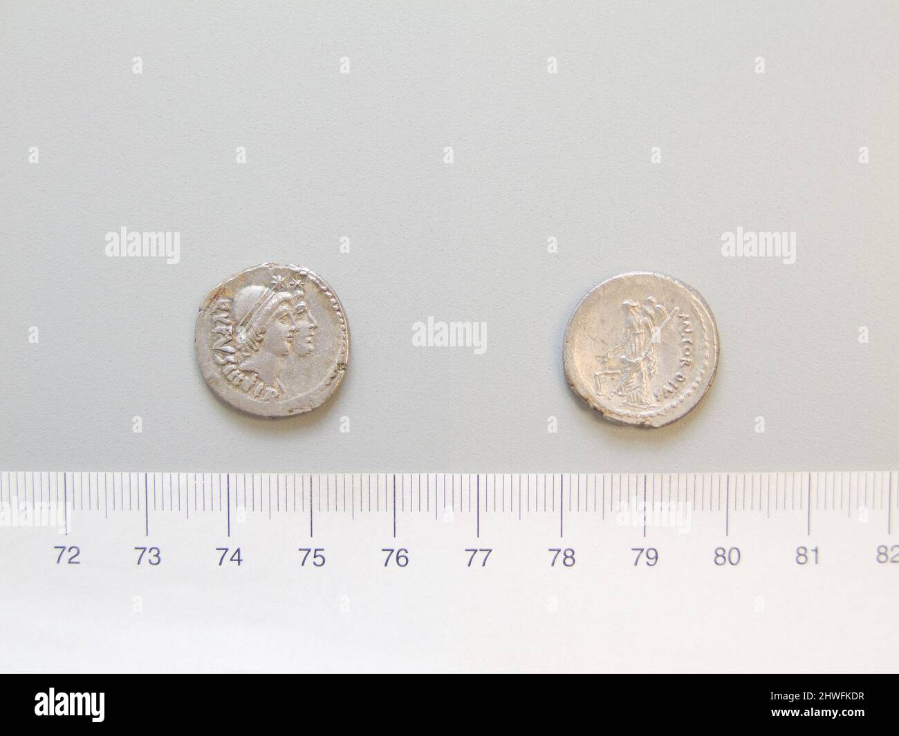 Cordius hi-res stock photography and images - Alamy