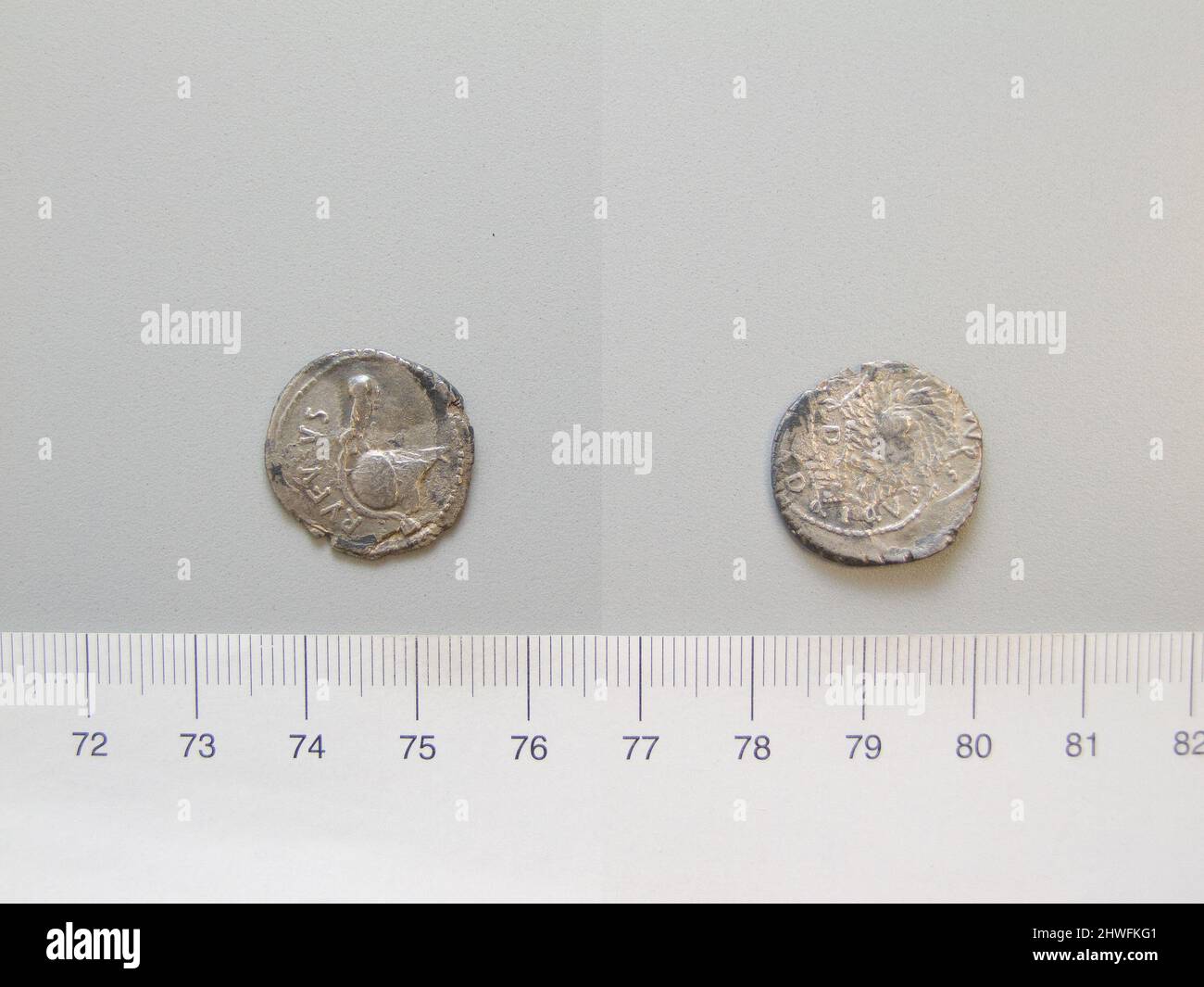Cordius hi-res stock photography and images - Alamy