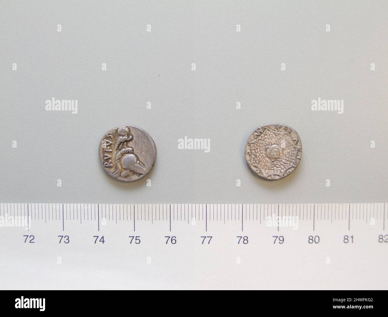 Cordius hi-res stock photography and images - Alamy