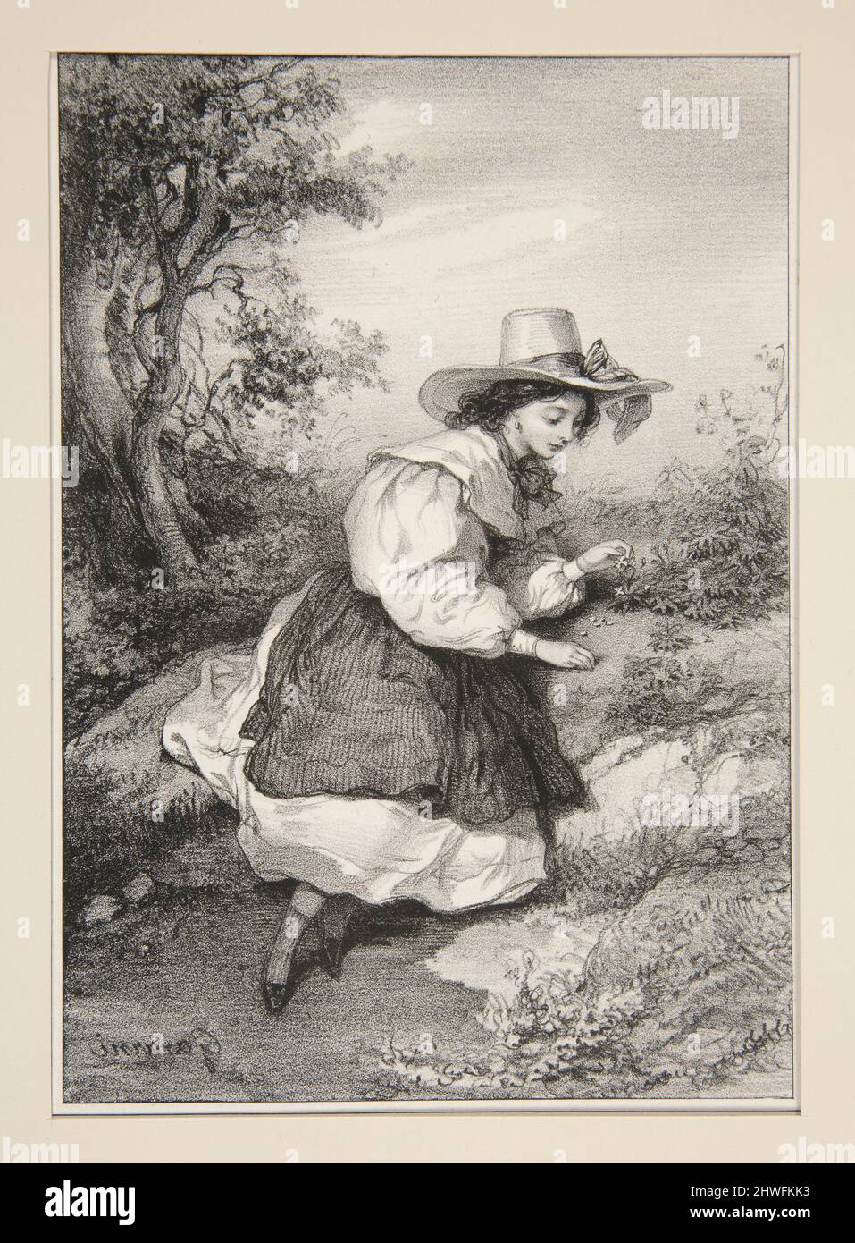 Les Deux Paquerettes.. Artist: Paul Gavarni, French, 1804–1866 Stock ...