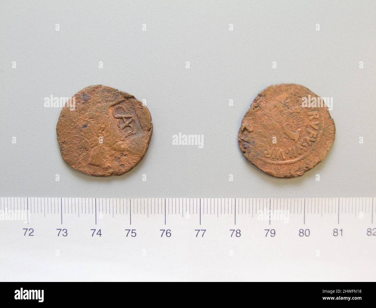 C plotius rufus hi-res stock photography and images - Alamy