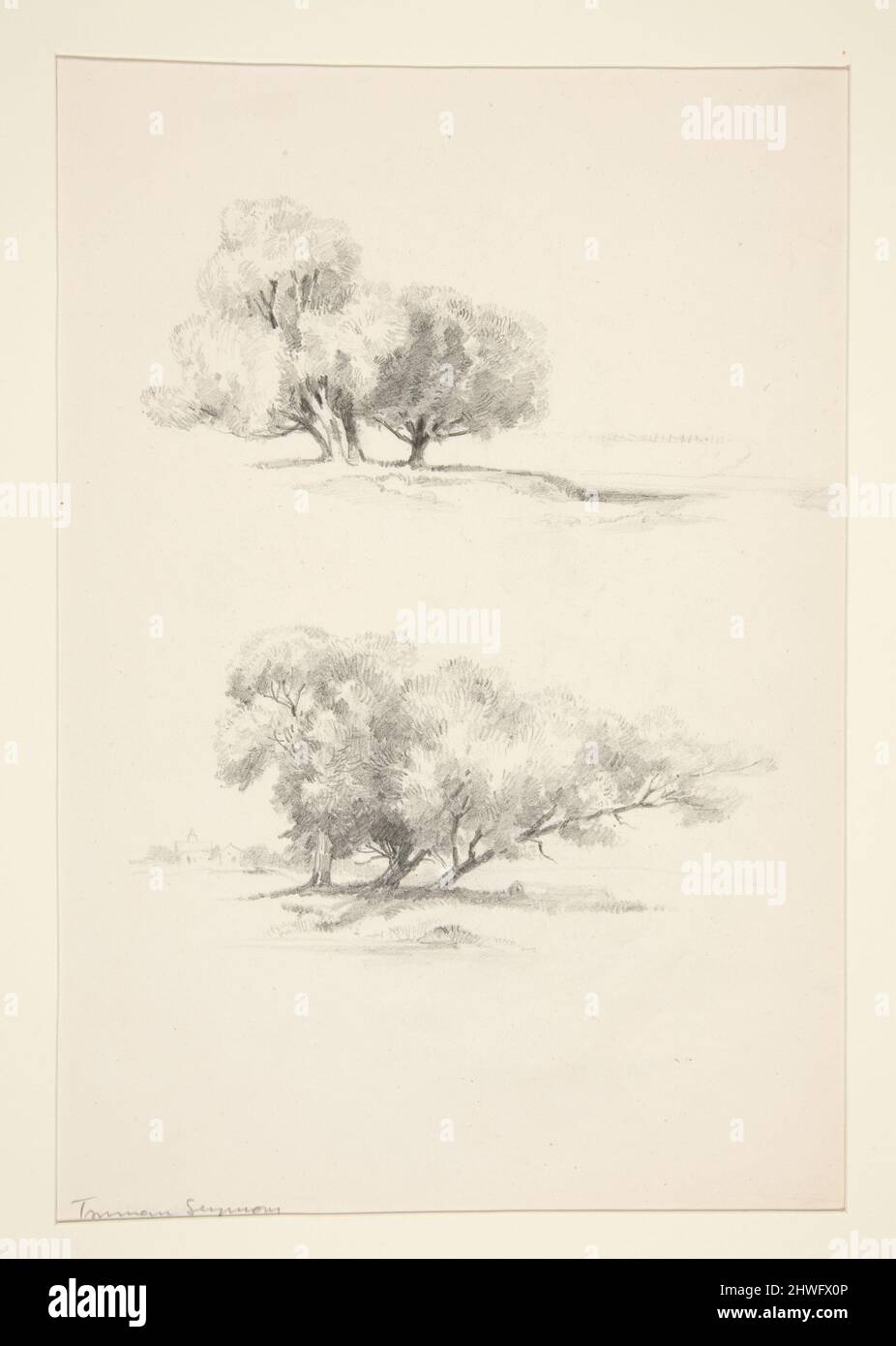 American botanical studies hi-res stock photography and images - Alamy