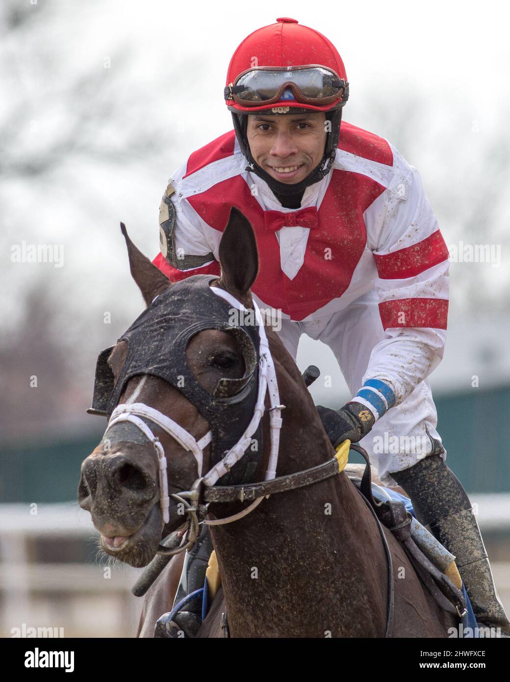 Tom fool horse hi-res stock photography and images - Alamy