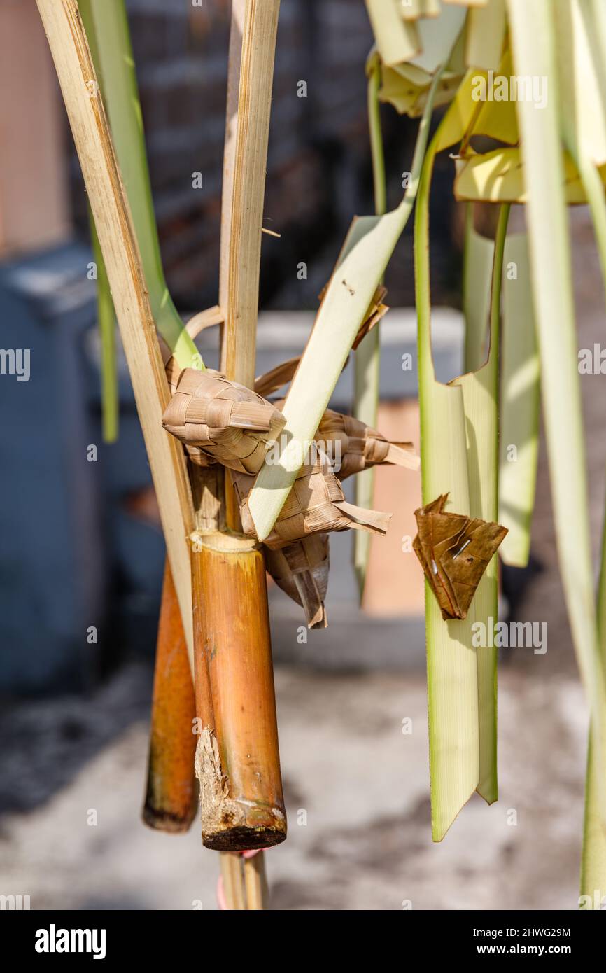 Traditional Balinese offerings for Nyepi celebration on the road along ...