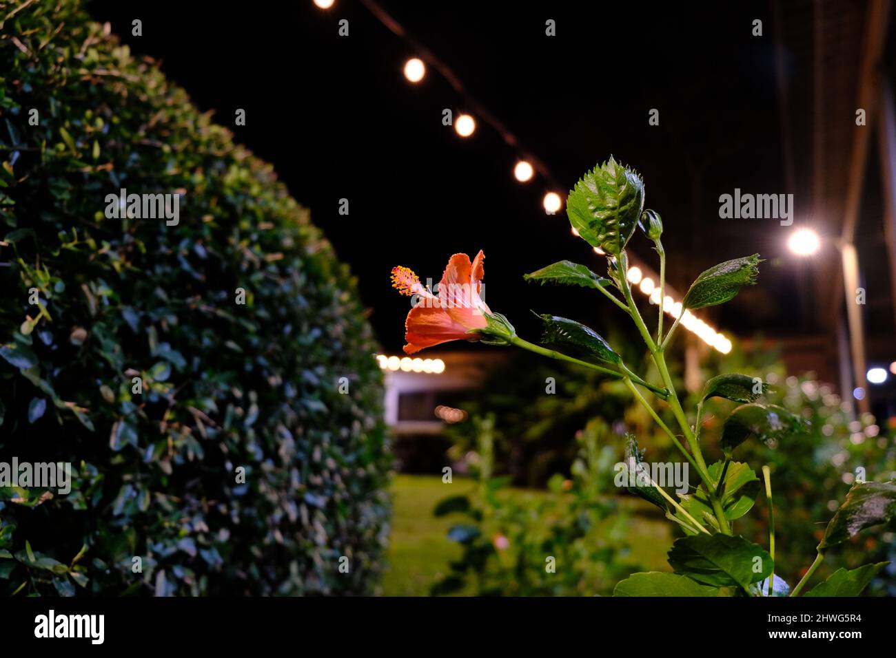 Dark outside hi-res stock photography and images - Alamy