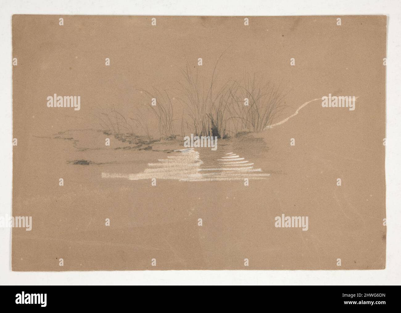 Trees on bank of river (?). Artist: Edwin Austin Abbey, American, 1852 ...