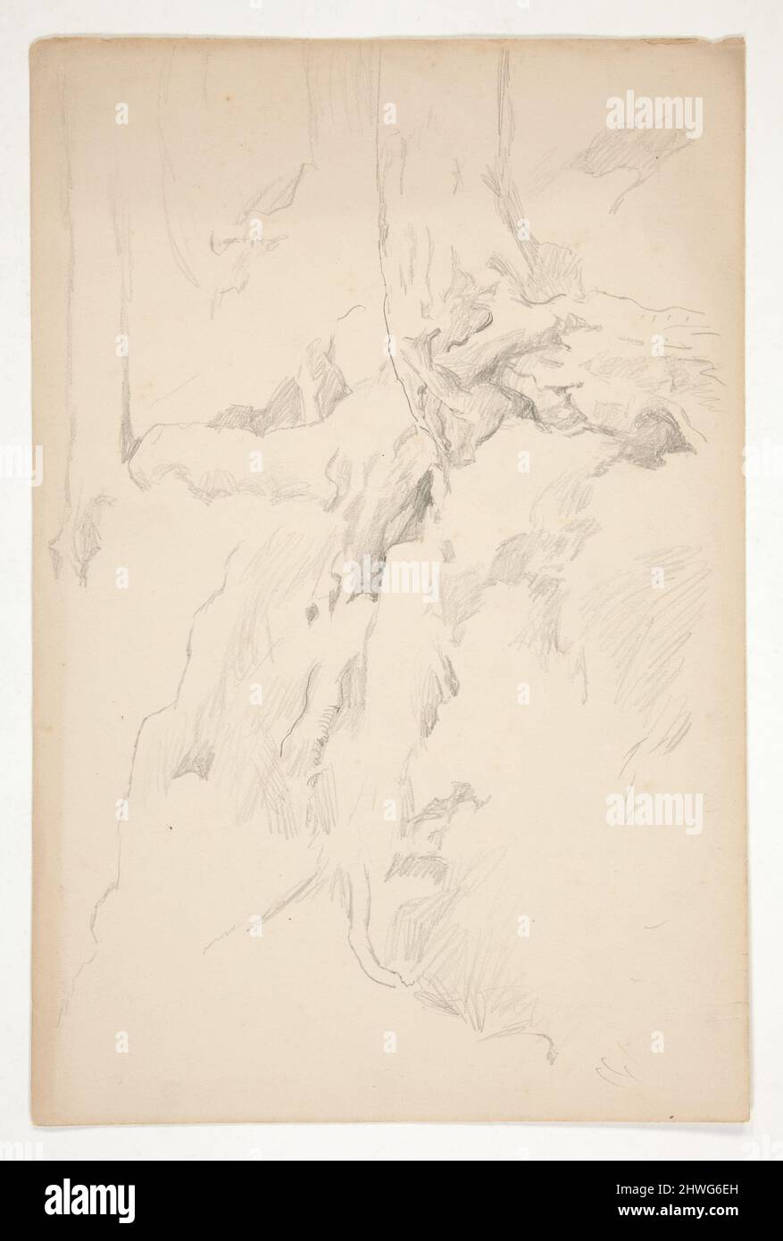 Sketch of a tree on a bank. Artist: Edwin Austin Abbey, American, 1852 ...