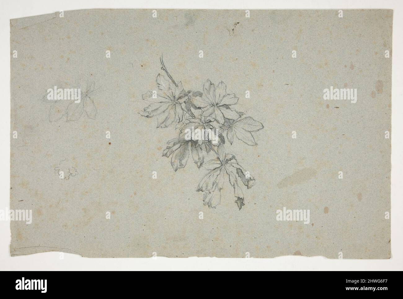 Study of a branch with leaves. Artist: Edwin Austin Abbey, American ...