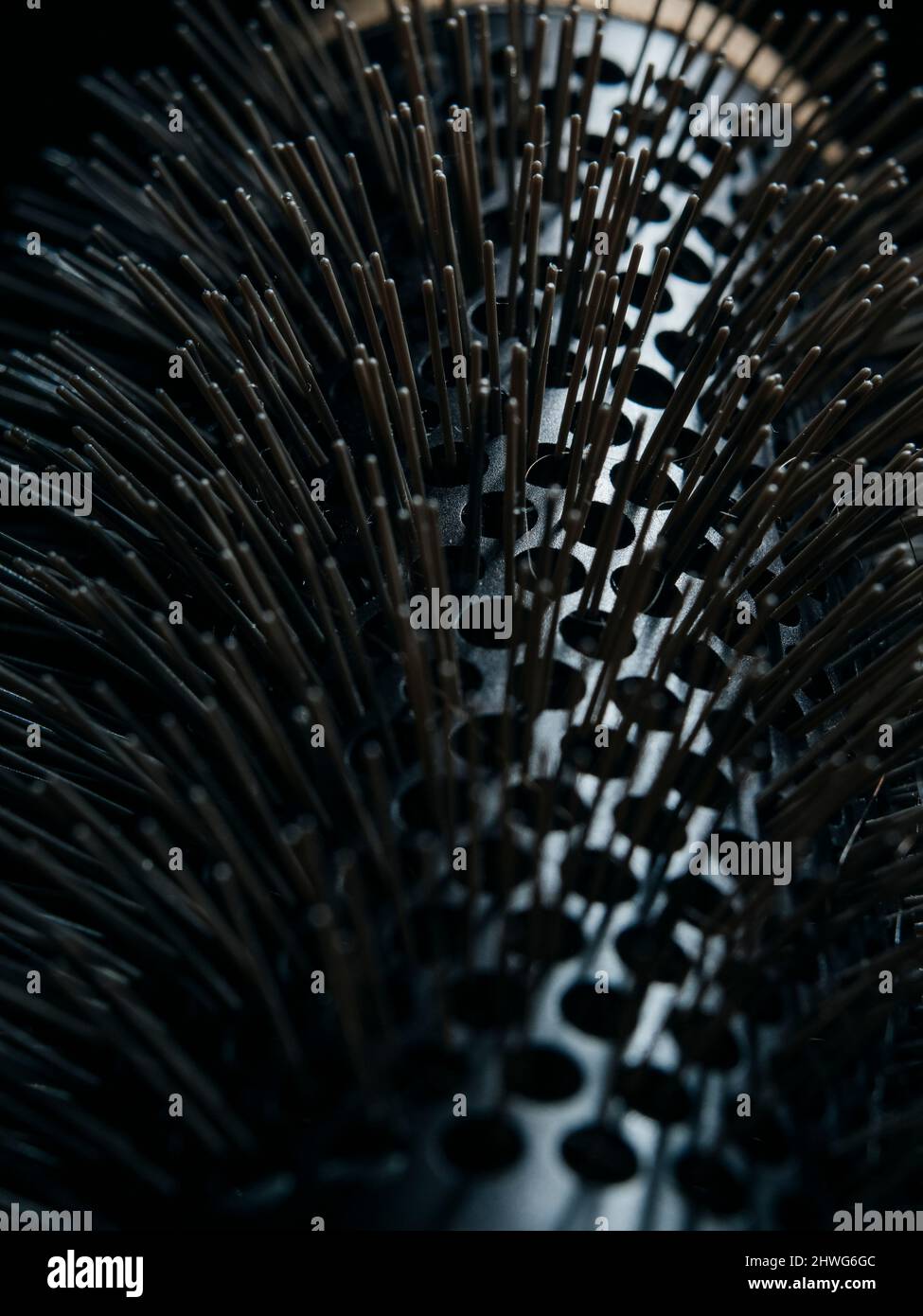 Trypophobia hi-res stock photography and images - Alamy