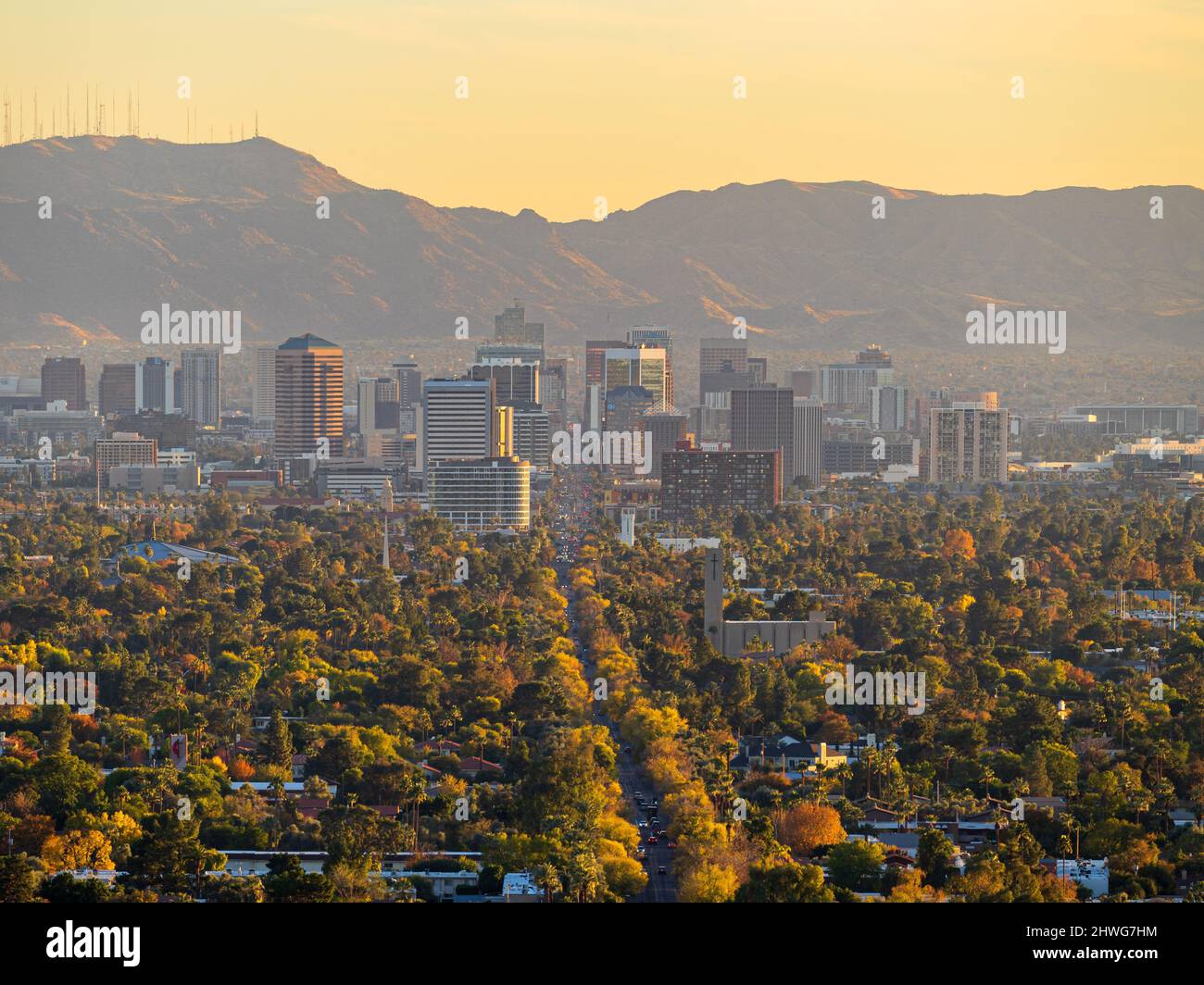 Phoenix, Arizona skyline and fall colors along Central Avenue with ...