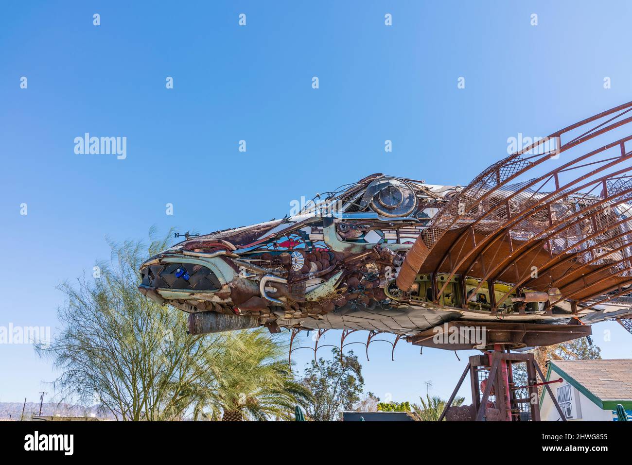 "Da Vinci fish." a fish art piece by Sean Guerrero. Royce Carlson, Nita ...