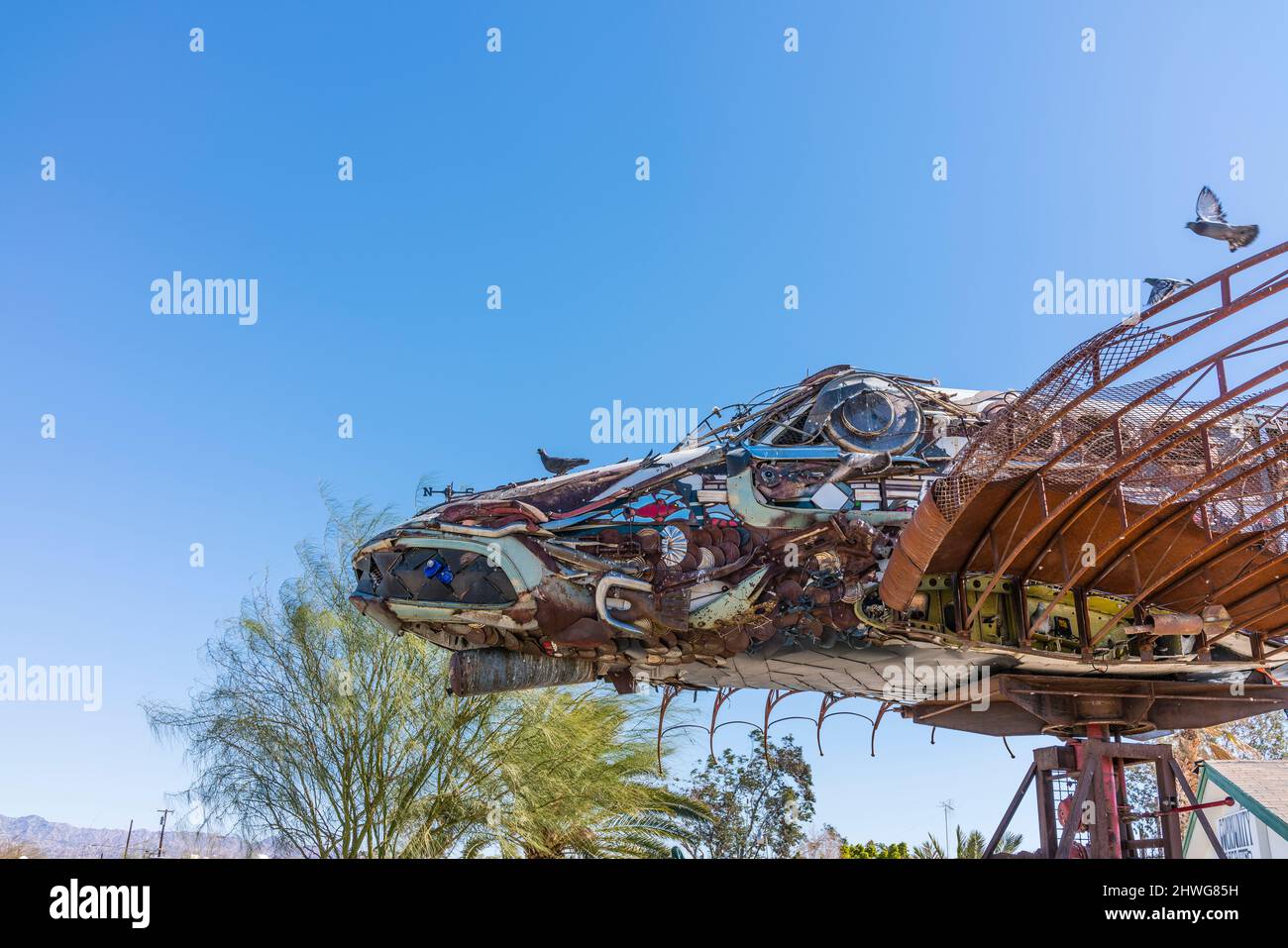 "Da Vinci fish." a fish art piece by Sean Guerrero. Royce Carlson, Nita ...