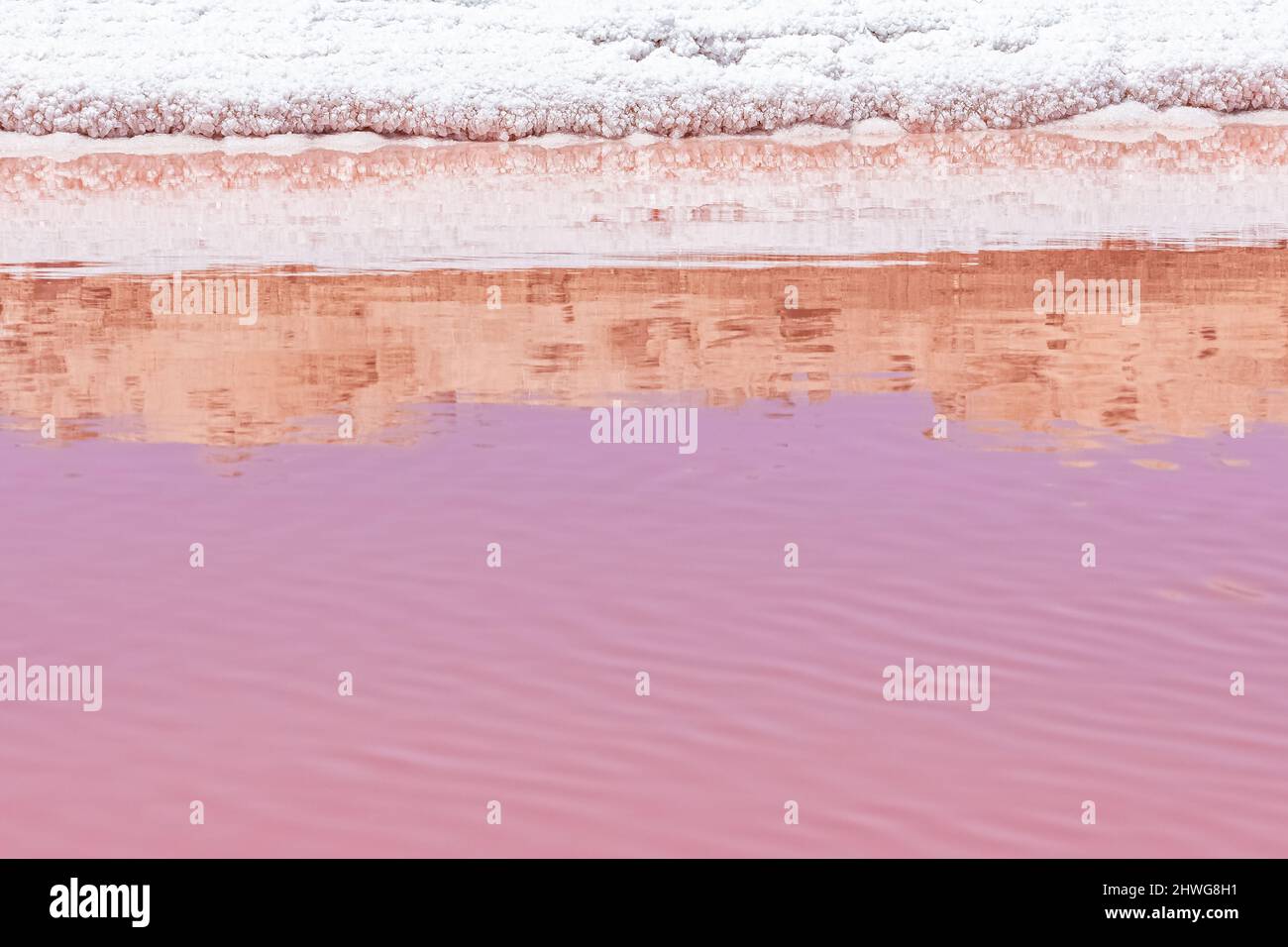 Namibia, panorama of the the salt marshes near Walvis Bay, pink lake ...