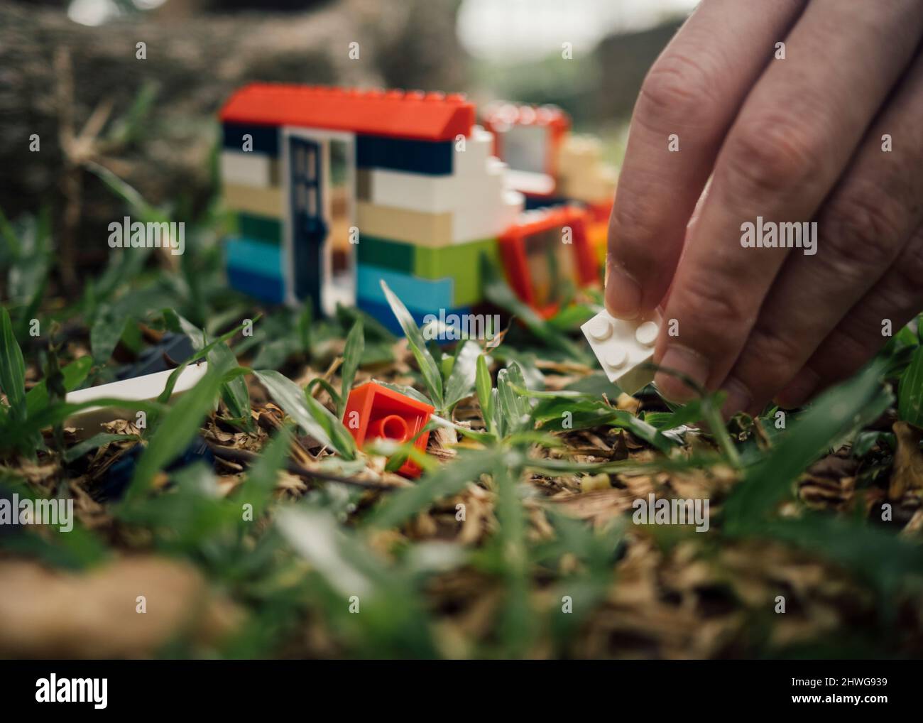 Hand building up lego brick house on grass Stock Photo - Alamy