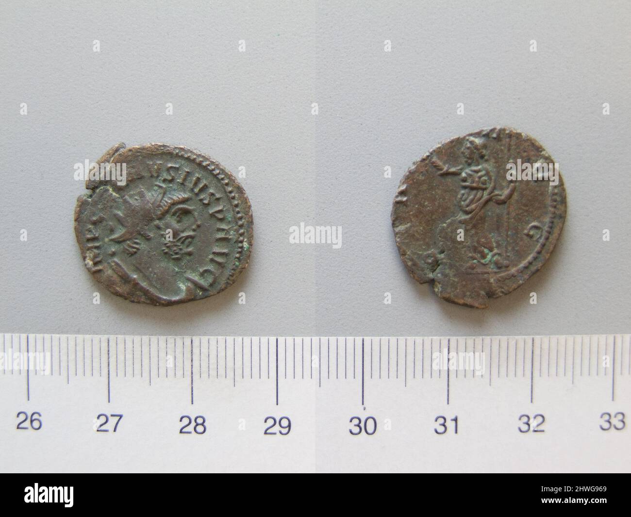 Carausius emperor hi-res stock photography and images - Alamy