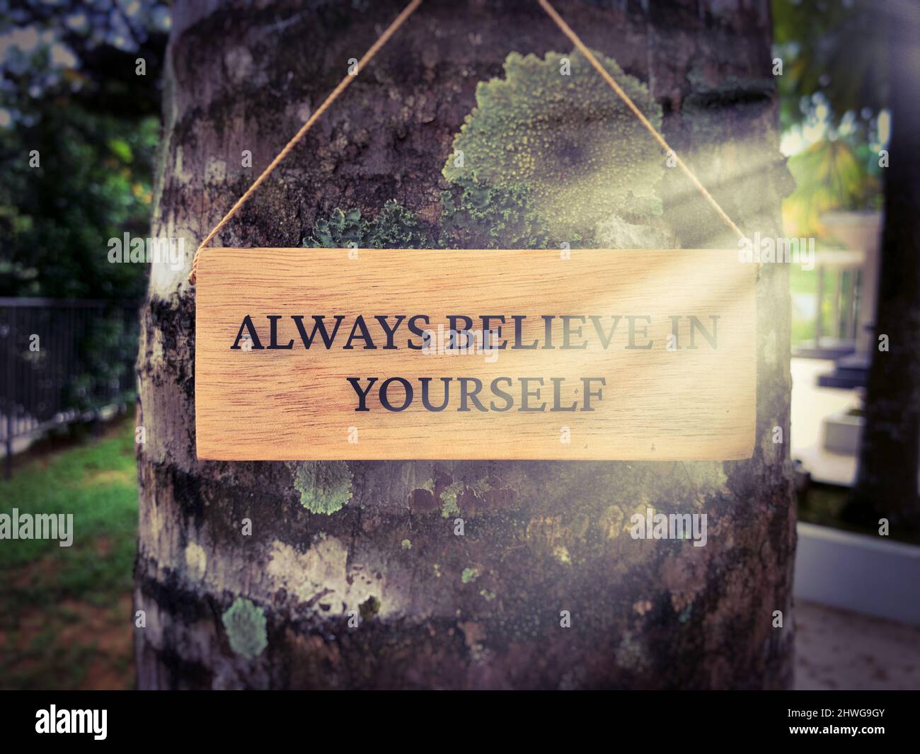 Motivational and Inspiration quote - Always believe in yourself Stock ...