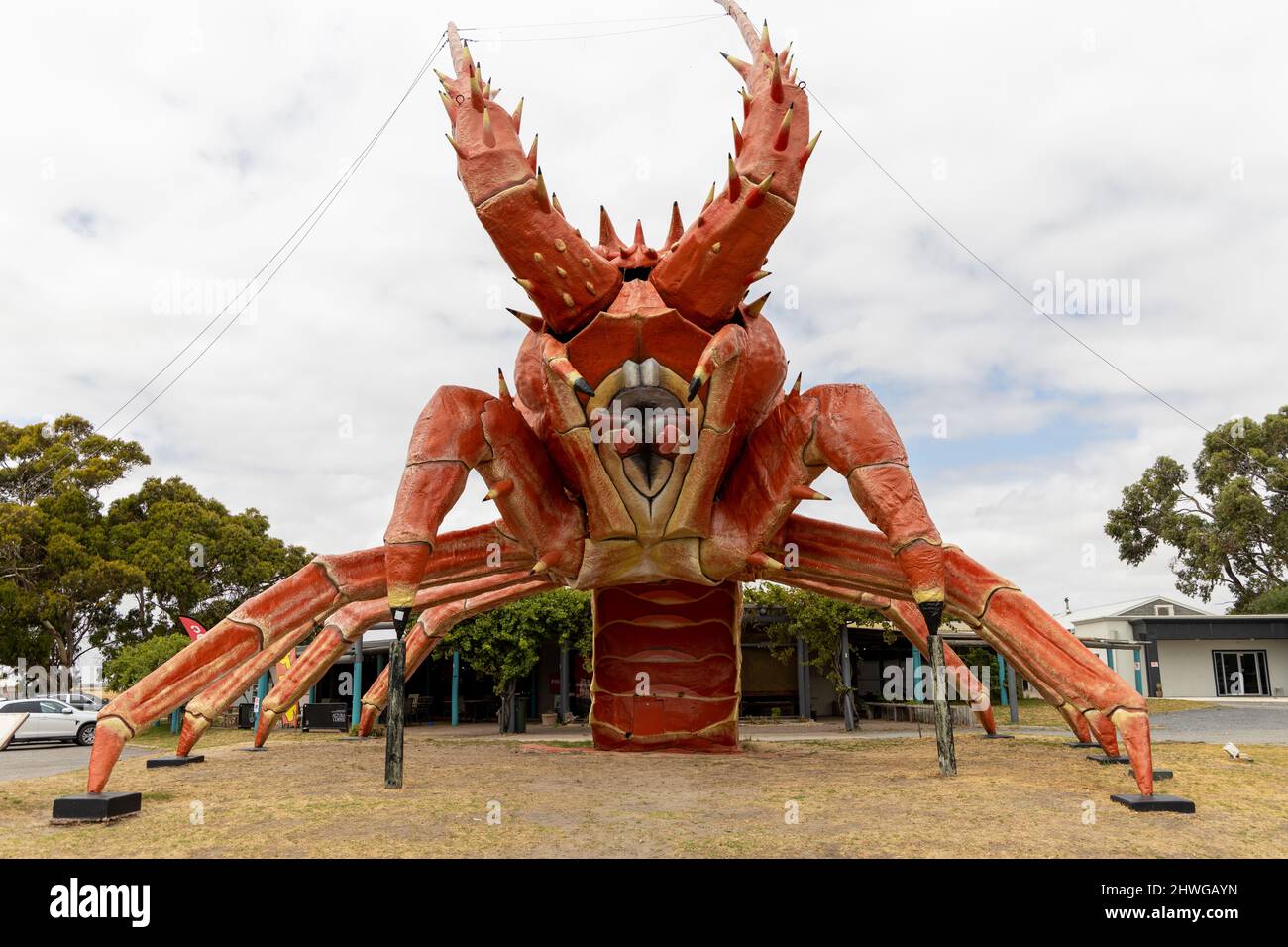Big crayfish kingston hi-res stock photography and images - Alamy