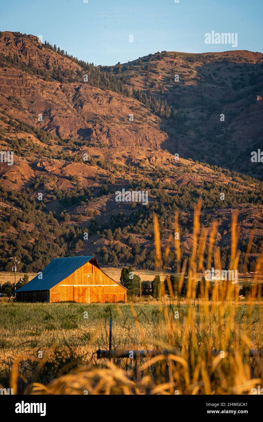Barn in a field at the base of a mountain at sunrise Stock Photo - Alamy